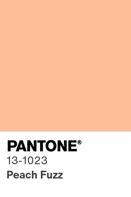 Peach Fuzz for Weddings: Pantone’s Color of the Year 2024